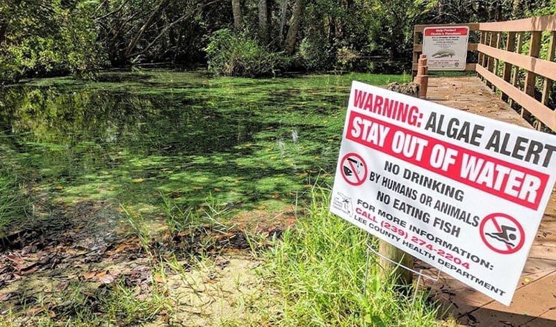Florida Water Quality - VoteWater.org