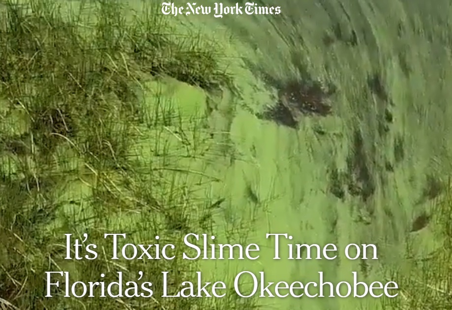 ‘Slime time’ on Lake O becomes national story - VoteWater.org