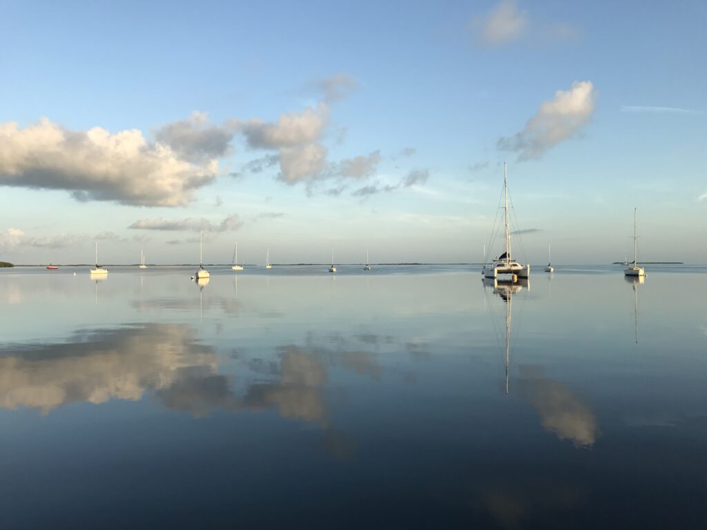 Florida's majestic beauty is why we 'Vote Water' - VoteWater.org