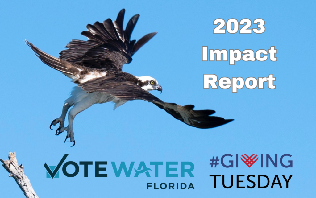 For Giving Tuesday, a look at VoteWater's 2023 impact - VoteWater.org