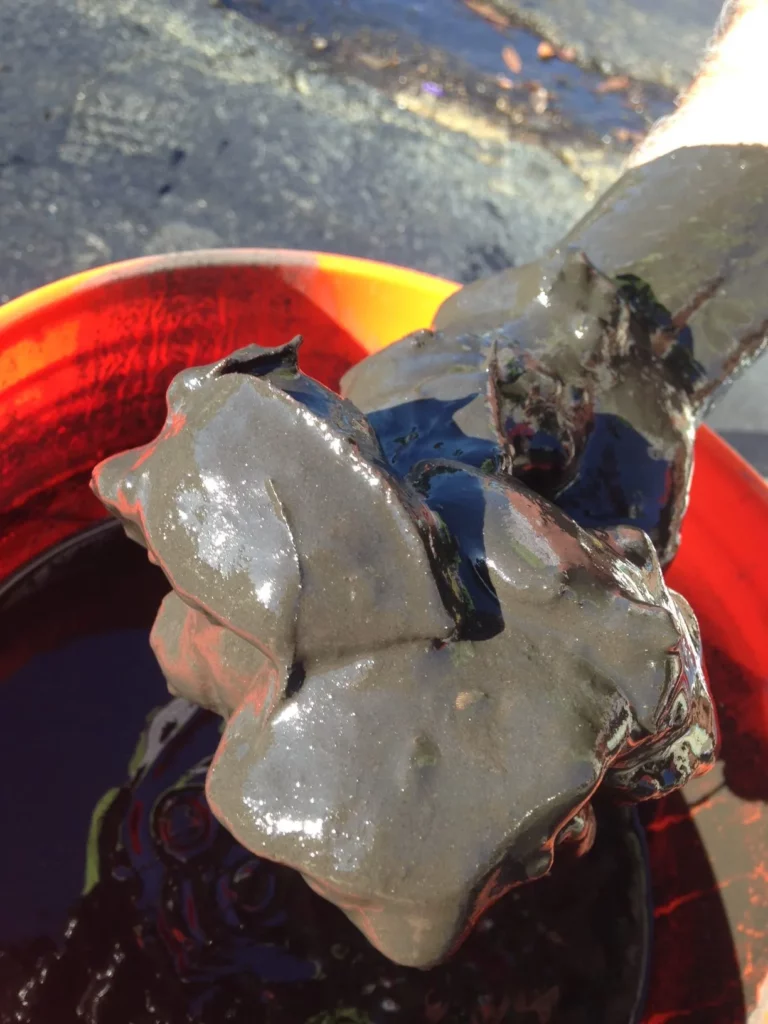 DEEP DIVE: What the muck? How 'black mayonnaise' impacts our waters ...