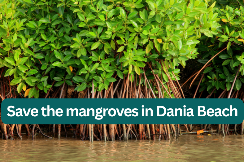 Save the mangroves in Dania Beach! - VoteWater.org
